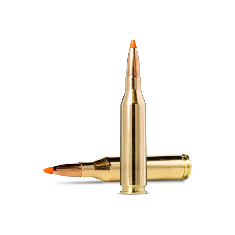 Die ultimative Webseite für Wiederlader | xxlreloading.com